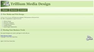 Trillium - Asya Shareef